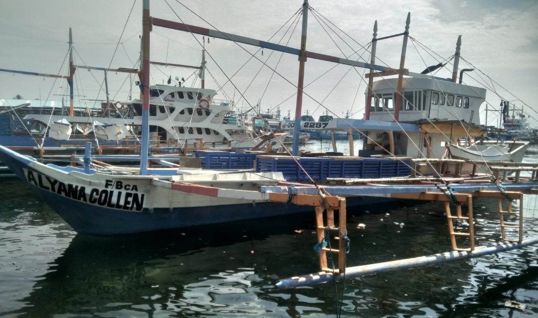 F/B Alyana Collen – SARGEN HANDLINE FIP